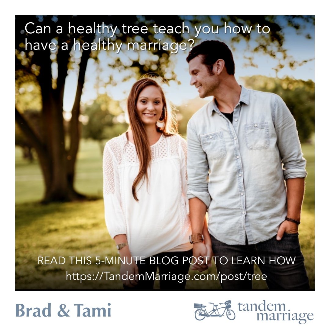 The Marriage Tree – A Story Of Deep Love And Growth